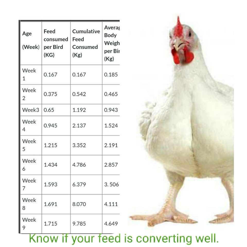 Broiler Feeding Chart And Expected Weight Per Week Chart For Top